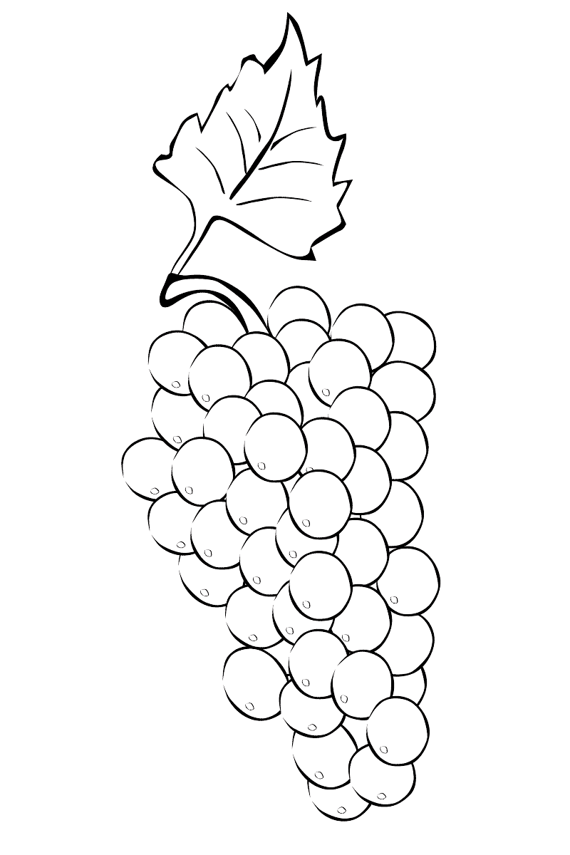 Coloriage - Grappe de raisins